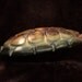 Ceramic Turtle Rattle