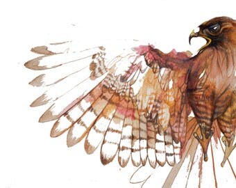 Abstract hawk art | Etsy