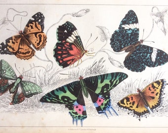 Butterfly engraving | Etsy