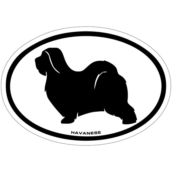 Havanese Vinyl Decal Sticker