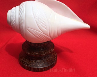 Blowing conch shell | Etsy