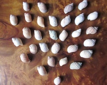 Unique miniature beach related items | Etsy