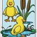 Five Little Ducks Clip Art Set Chirp Graphics