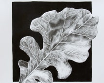 Unique leaf drawing related items | Etsy