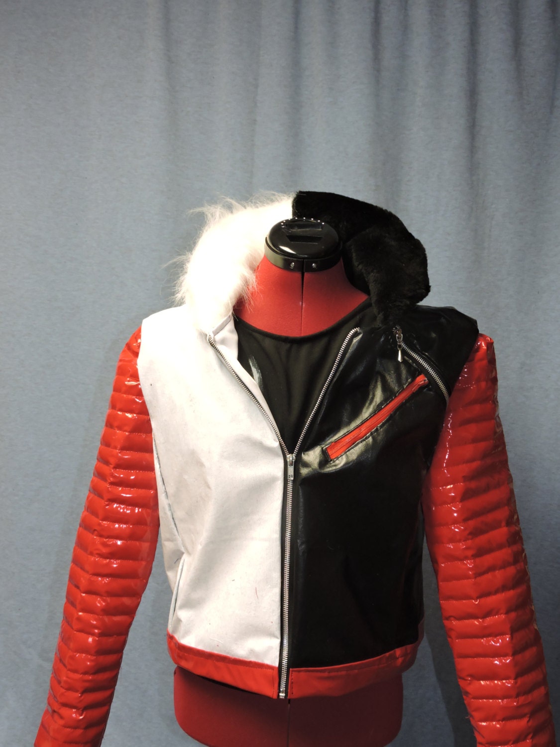 Adult Descendants Costume