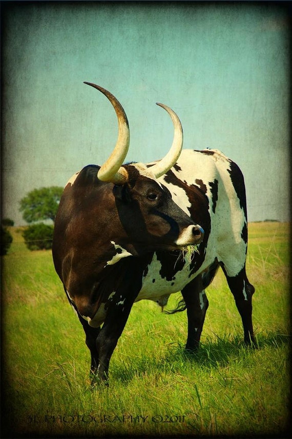 Fine Art Photography Print-Western by 3LPhotography on Etsy