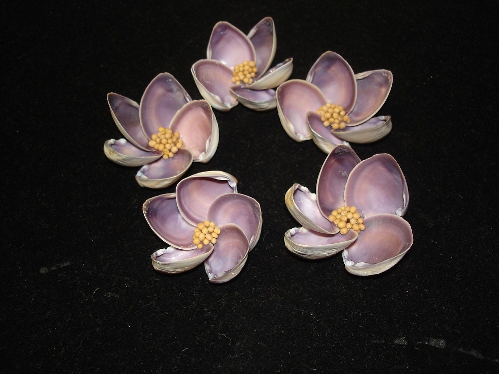 Seashell Flowers Purple Cay Cay Shell Flowers Seashell