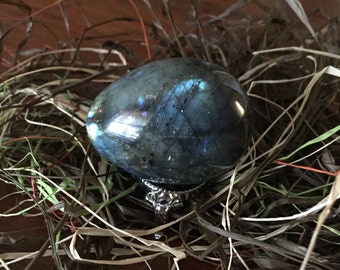 Unique madagascar palm related items | Etsy