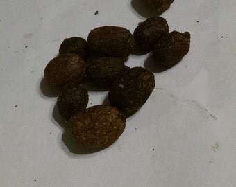 Unique moose poop related items | Etsy