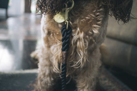 Midnight Black Rope Dog Leash // Rope Dog Lead Strong Dog