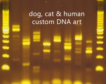 Custom DNA Art For People Dogs & Cats by DareDNA on Etsy