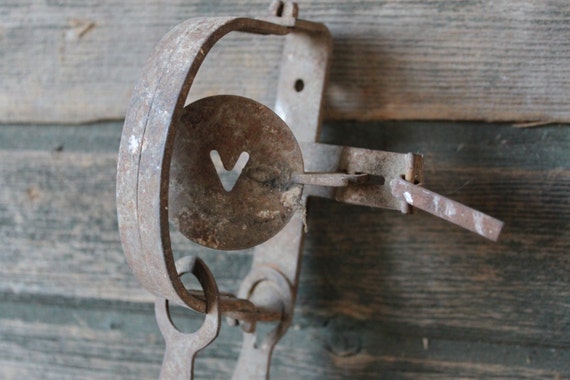 Vintage small game traps ... set of 4