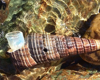 Seashell pipe | Etsy