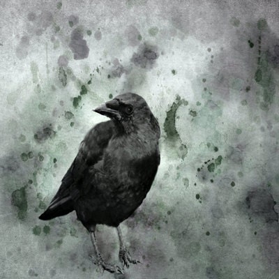 Gothic crows angels retro nature mix photographs art. by gothicrow