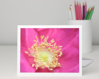 flower photography prints note cards by MaryFosterCreative on Etsy