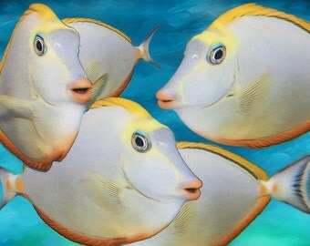 Tropical fish art | Etsy