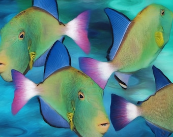 Fish painting | Etsy