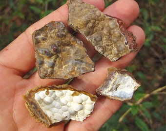 Botryoidal agate | Etsy