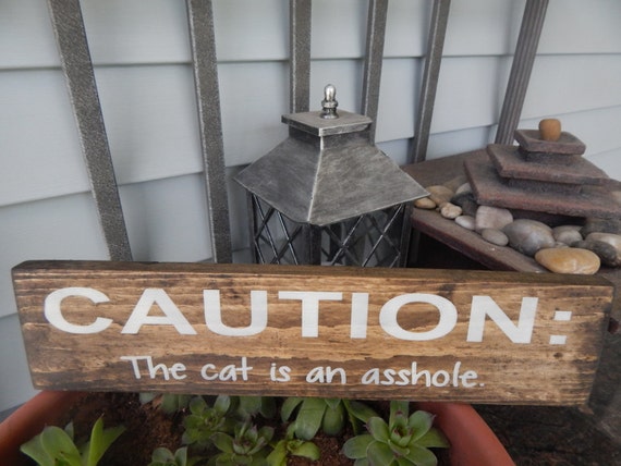 Caution Cat Is An Asshole Crazy Cat Decor Funny Cat Quote