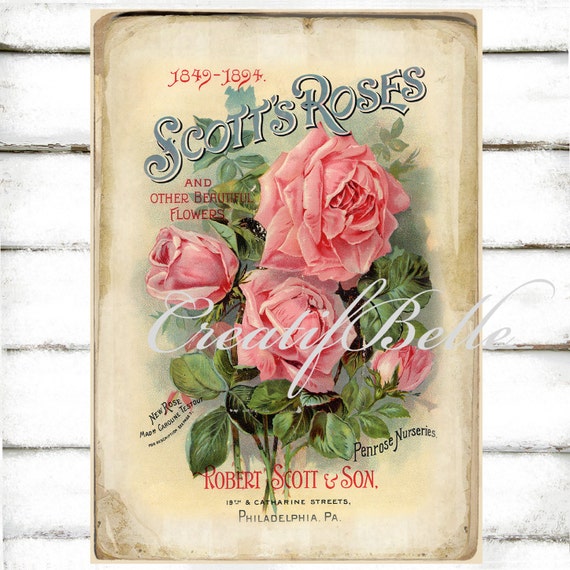 Vintage Pink Roses Seed Packet Large Instant by CreatifBelle