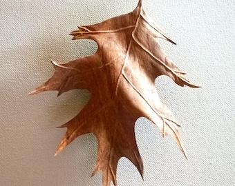 Wood Sculpture Maple Leaf 4 made of Hackberry Wood by OOLEAVES