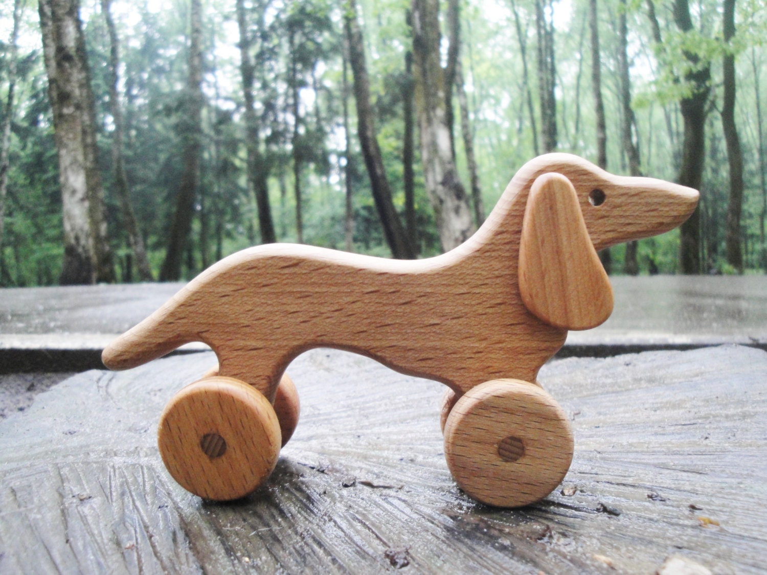 Wooden Rolling toy Sausage Dog Learning by WoodenCaterpillar