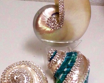 Elegant Jeweled & Seashell Decor for Home & Wedding by ShellDecor