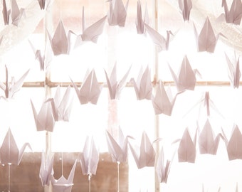 Bird backdrop | Etsy