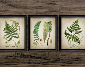 Fern wall art | Etsy