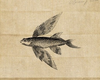 Flying fish print | Etsy