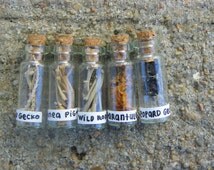 Unique leopard gecko related items | Etsy