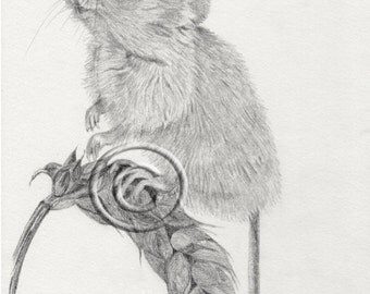 Harvest mouse | Etsy