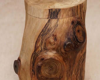 Stump Trinket Box Jewelry holder keepsake box by MccabeDesigns