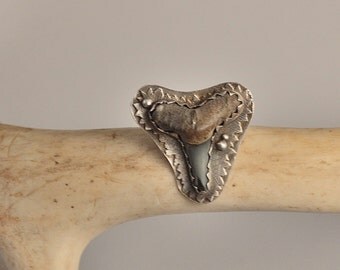 Shark tooth ring | Etsy