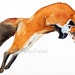 red fox original watercolor painting jumping fox size 94x126