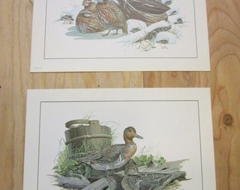 Don balke art | Etsy