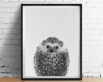 Hedgehog poster | Etsy