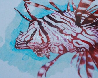 Items similar to Lion Fish Pen and Ink Print on Etsy
