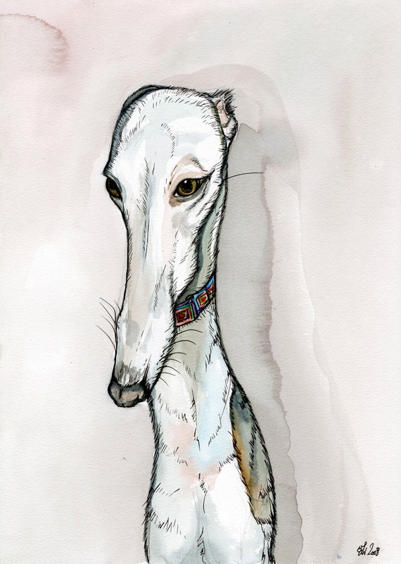 Whippet Dog Art Print