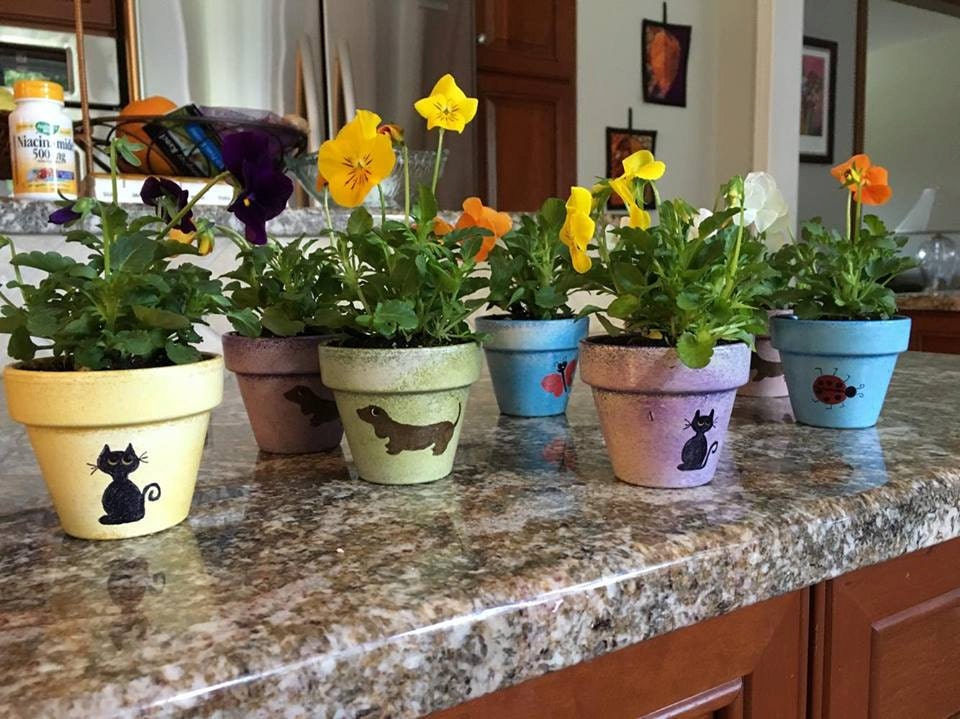 Painted Flower Pots Kids Party Favors Seed Planting Party