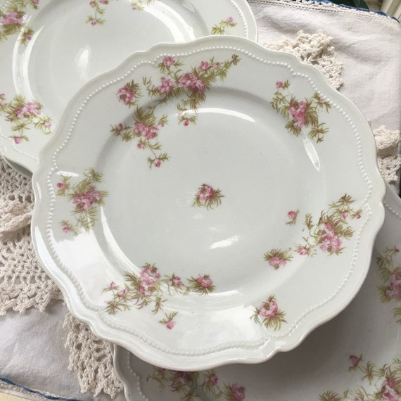 Set of 10 Antique O & E G Royal Austria Dinner Plates