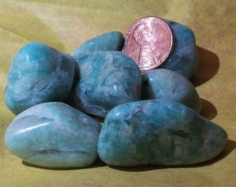 Unique madagascar palm related items | Etsy