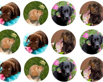 Labrador cake topper | Etsy