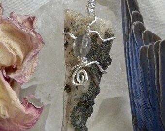 Witches finger | Etsy