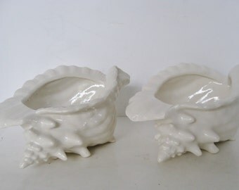 Conch shell planter | Etsy