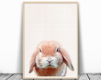 Unique bunny print related items | Etsy