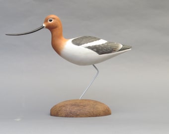 American avocet | Etsy