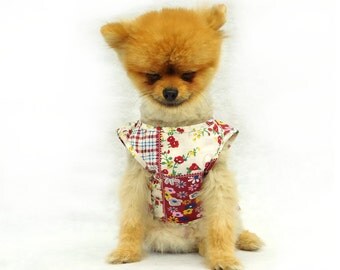 Teacup dog clothes | Etsy