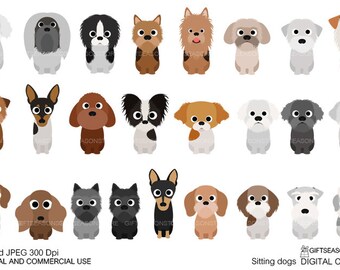 12 Cute Animal Digital clip art for Personal and Commercial