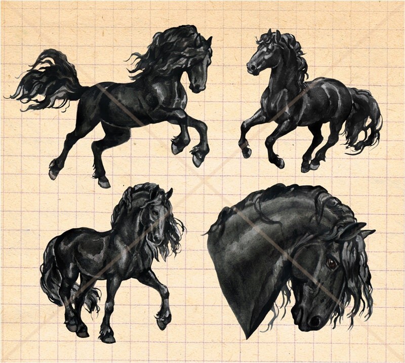 Friesian Horses Clipart Digital Watercolor by TheLesserEvil